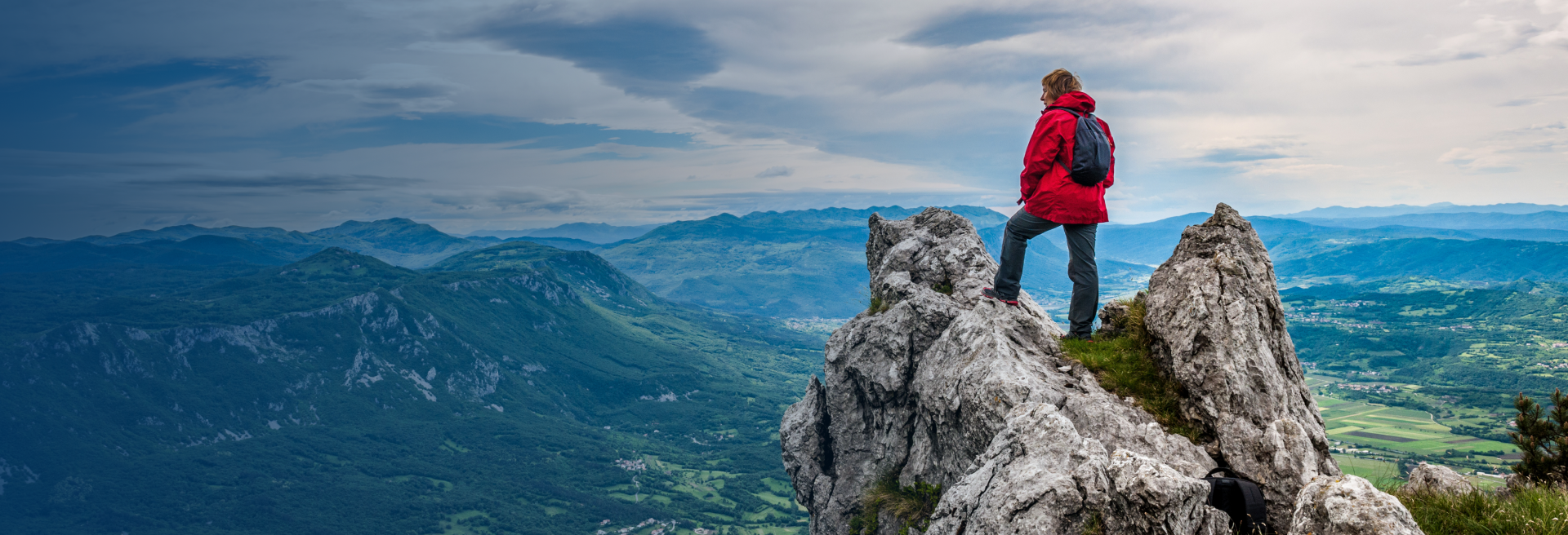 Procyon | Your trusted financial partner for exceptional outcomes