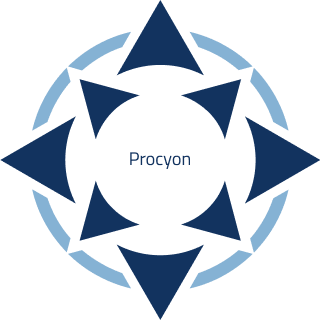 Procyon | Your trusted financial partner for exceptional outcomes